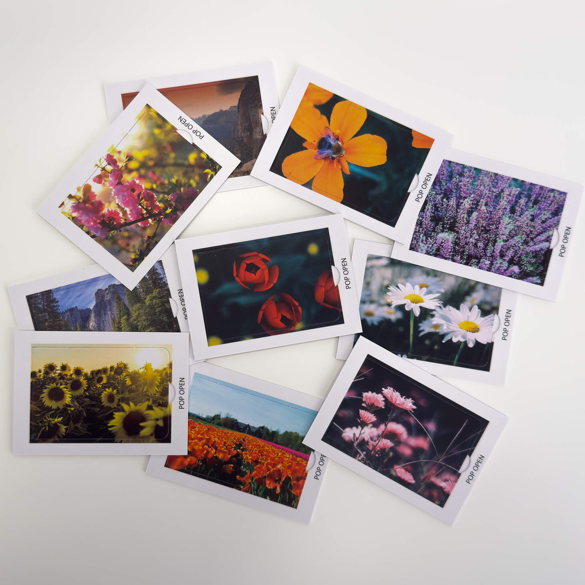 Pop Open Cards - Surprise Bible Verse Cards